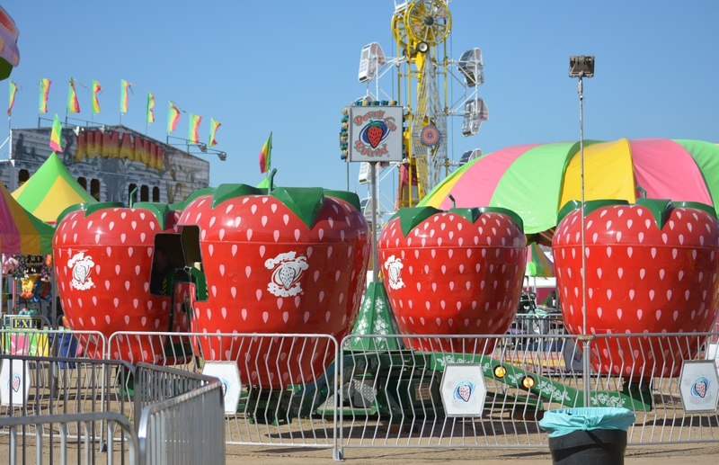 Berry Go Round - 36" Tall to Ride / Under 36" w/Adult